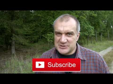 Ekoblabla #2 Jeleń i myśliwi