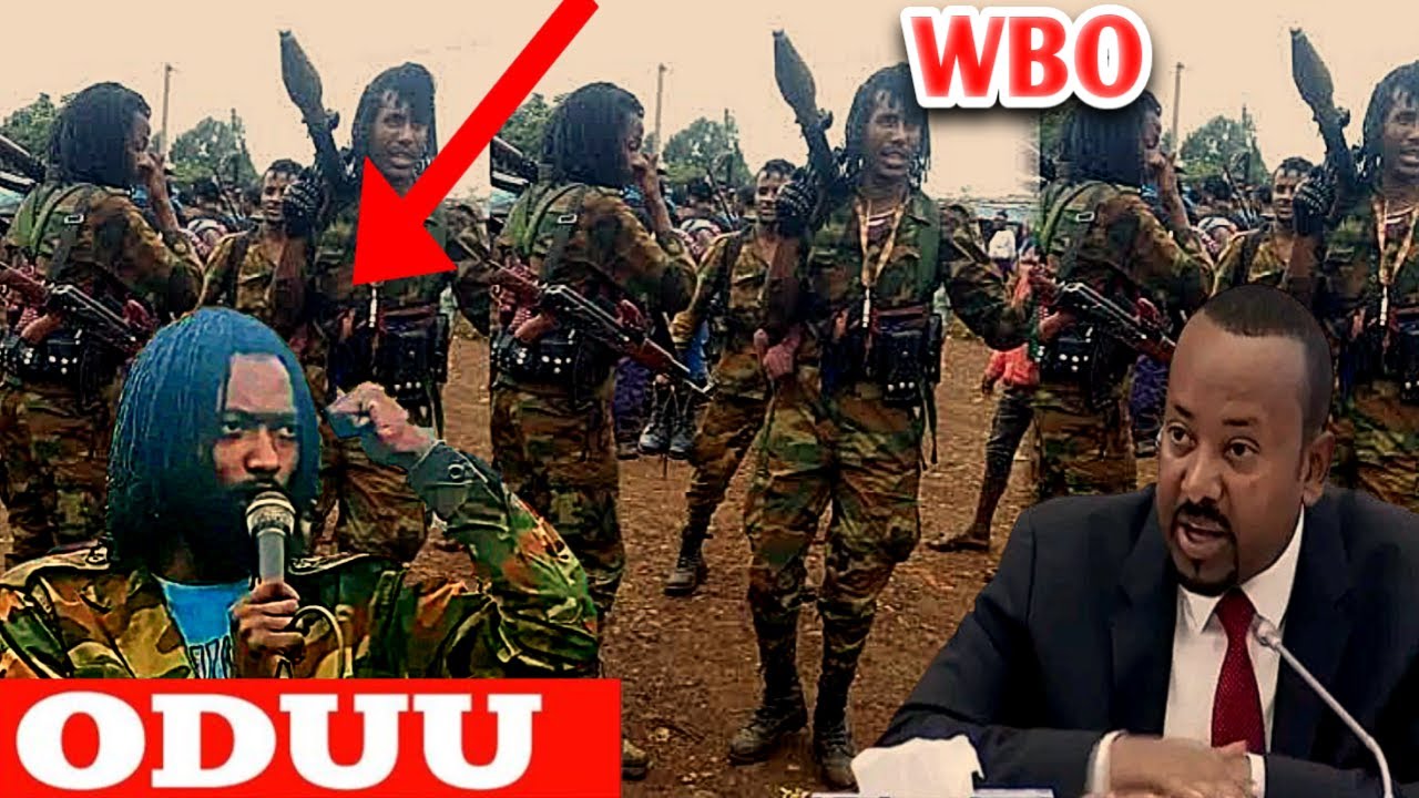 ODUU Hatattamaa Oowwituu haaraa Amma nu dhaqqabde kunoo @moha media ...