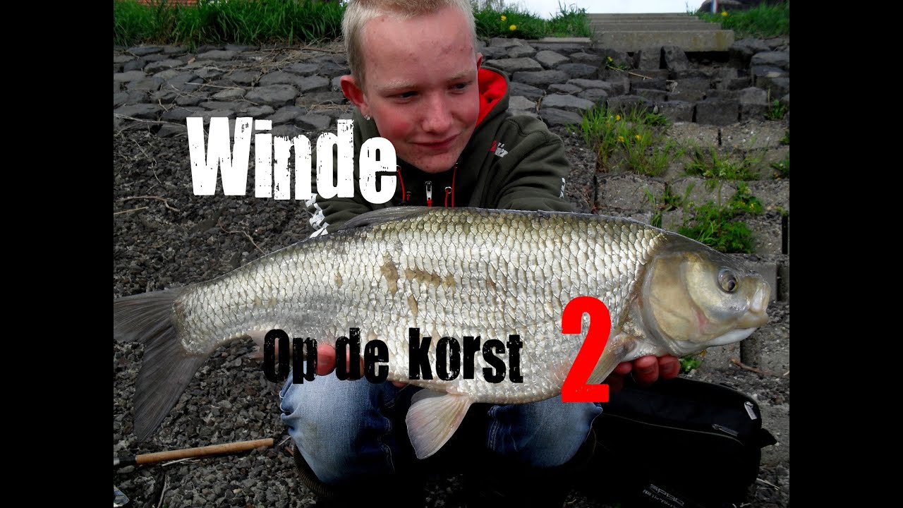 HLpredatorTEAM - Winde vissen met de korst II - YouTube