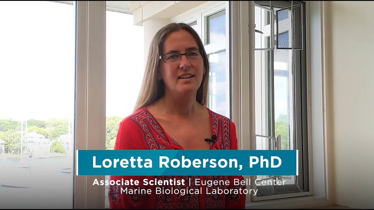 "Why the MBL?" with Loretta Roberson - YouTube