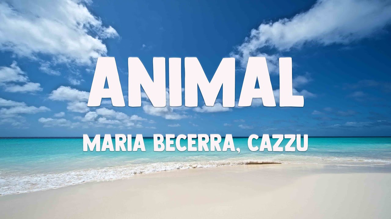 Animal - Maria Becerra, Cazzu (Lyrics Version) 🌹 - YouTube