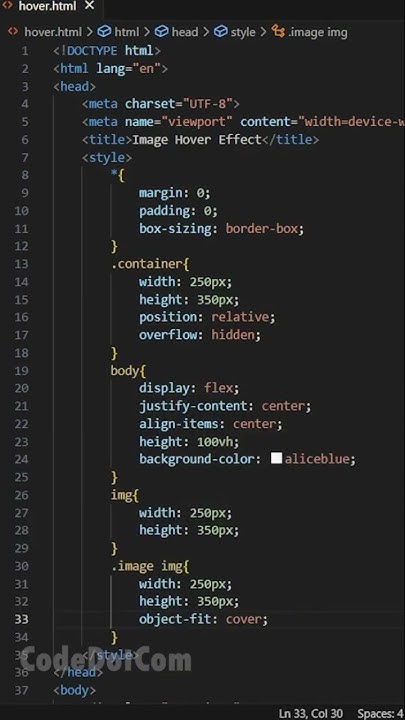 Hover effect on images with CSS | CSS Hover Effect #csshovereffect #css #cssanimation - YouTube