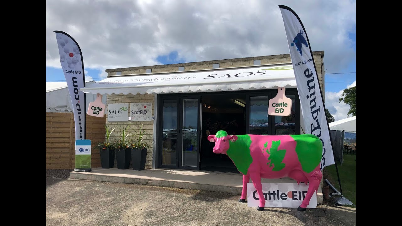 ScotEID at RHS 2019 - YouTube