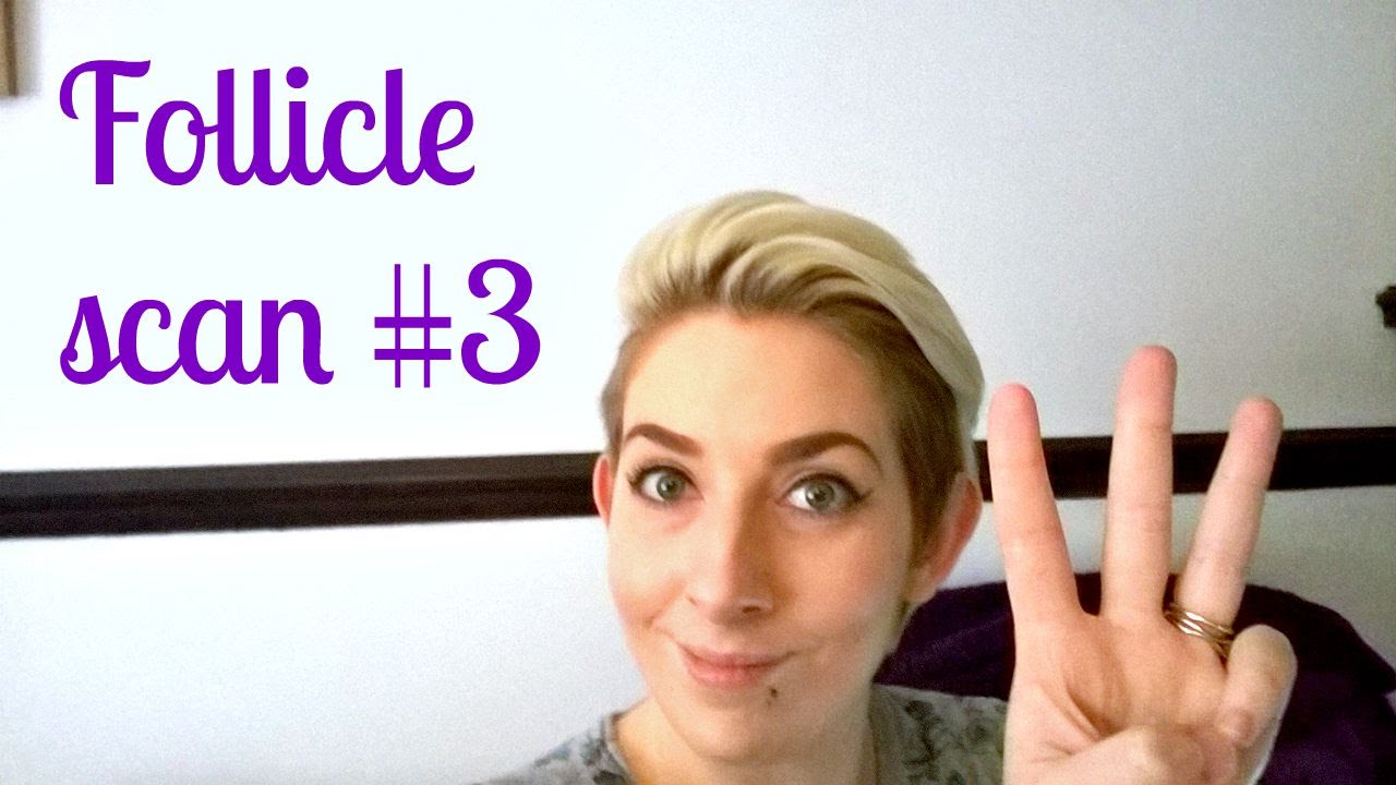 IVF: Cub diaries - Follicle scan #3 24/08 - YouTube