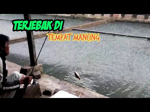 lihat spot mancing kiloan