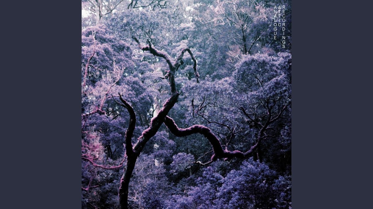 Soft Ghost - YouTube Music