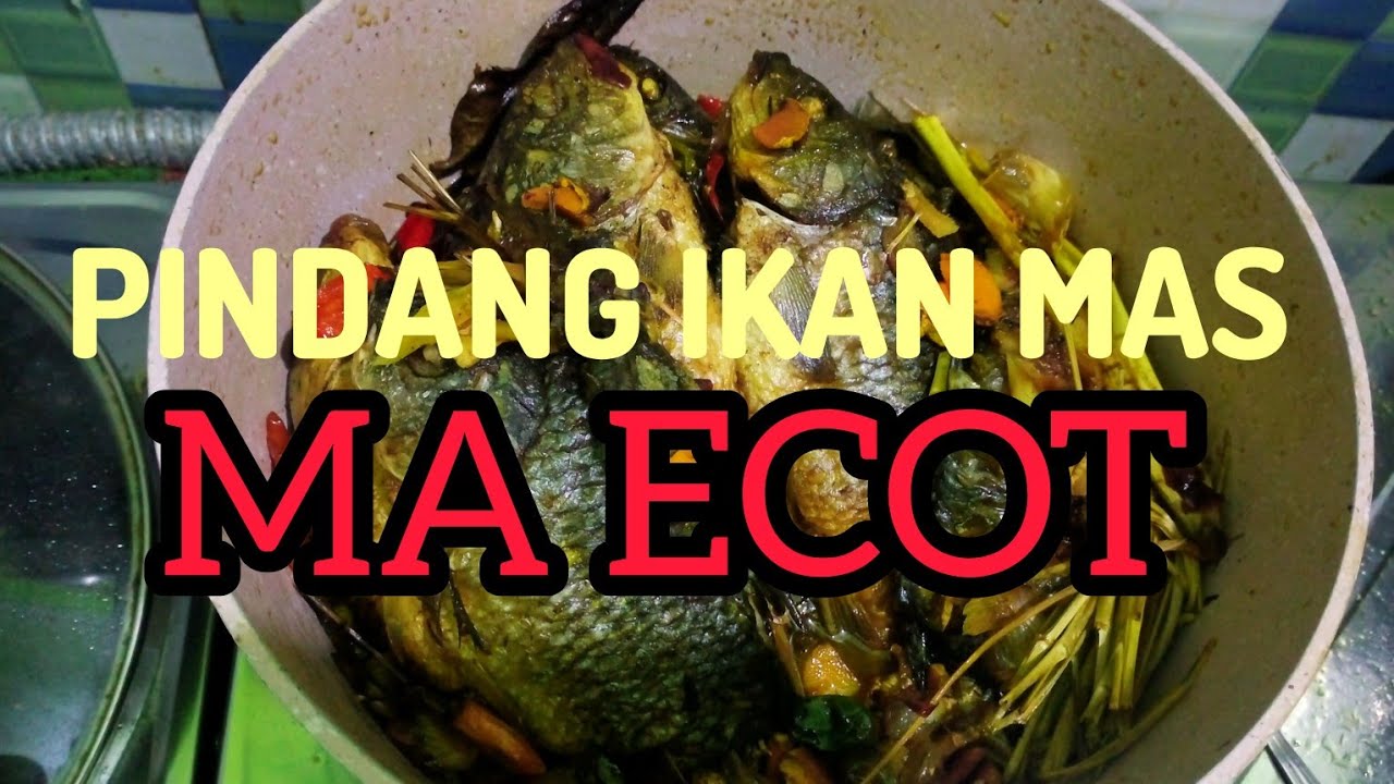PINDANG IKAN MAS MA ECOT, BANTU SUBSCRIBE SHER COMENT LIKE YA SAHABATKU ...