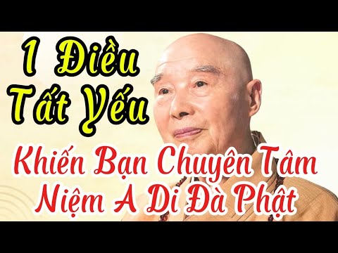 Folge 103: Eine wesentliche Voraussetzung, um sich ganz auf die Anrufung von Amitabha Buddha zu k...