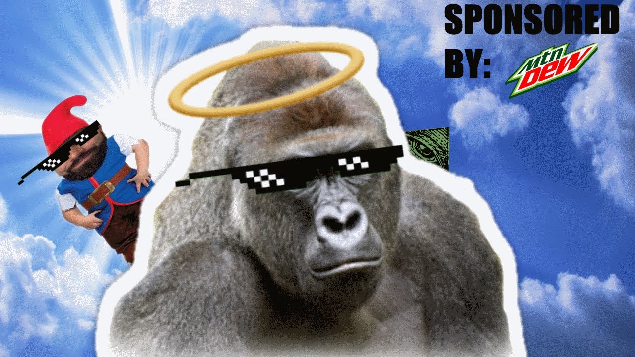 Harambe the Movie - Trailer 1 - YouTube