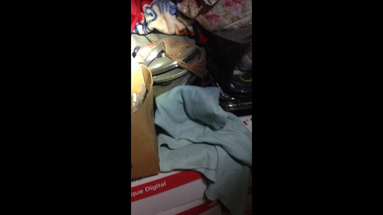 Safe Harbor Self Storage - Unit 310 - YouTube