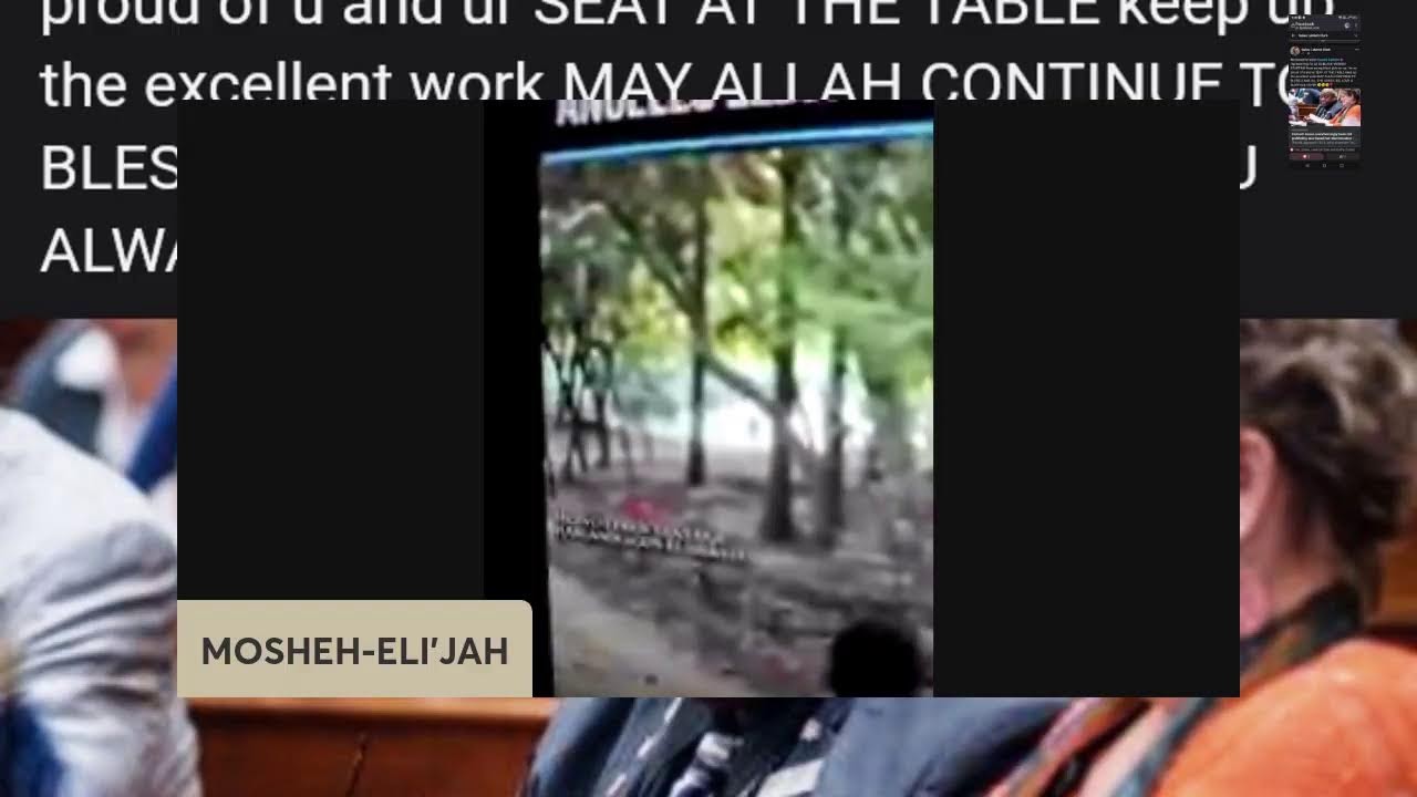 "LEARN LIGHT-LANGUAGE & LIVE" - YouTube