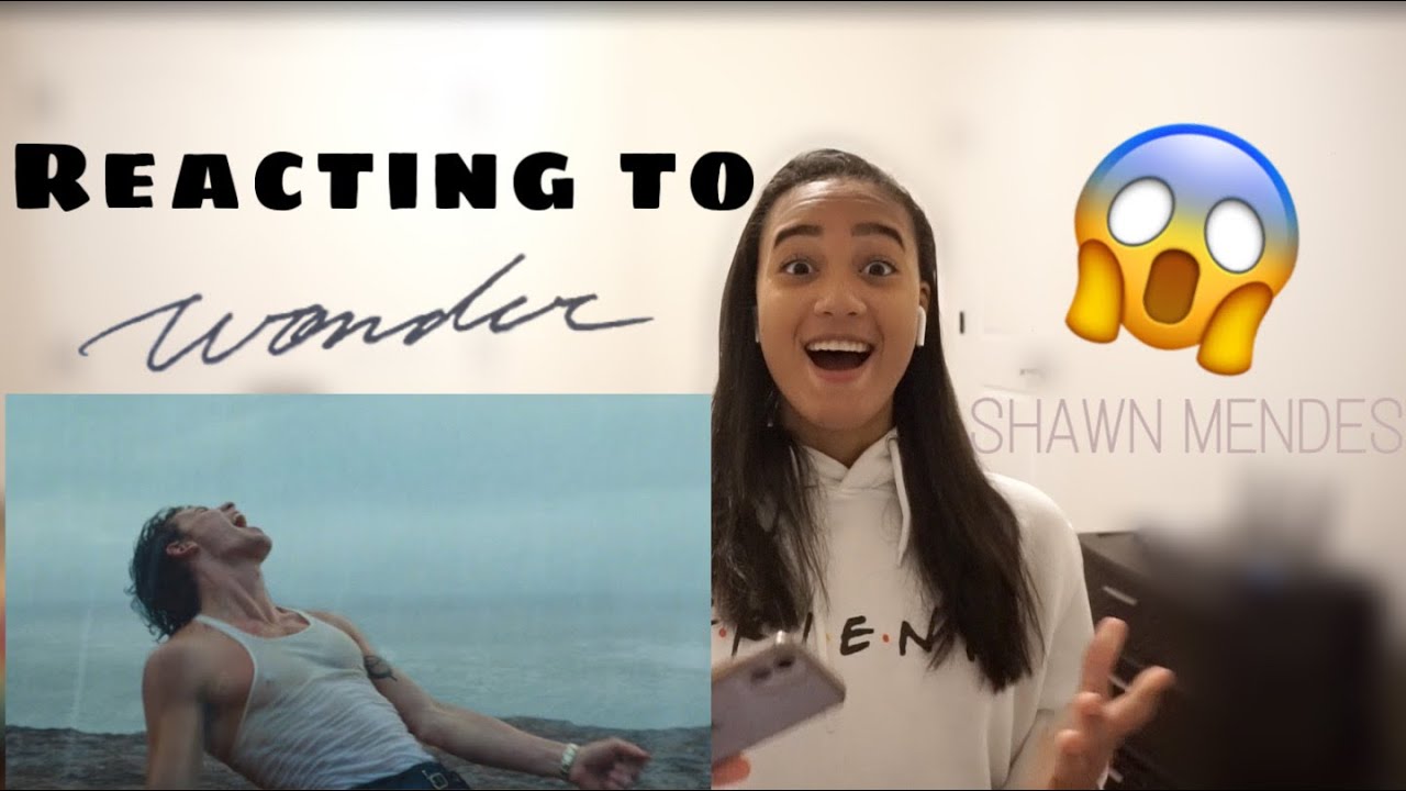 Shawn Mendes-Wonder(Music Video) Reaction!*SHOCKED* - YouTube