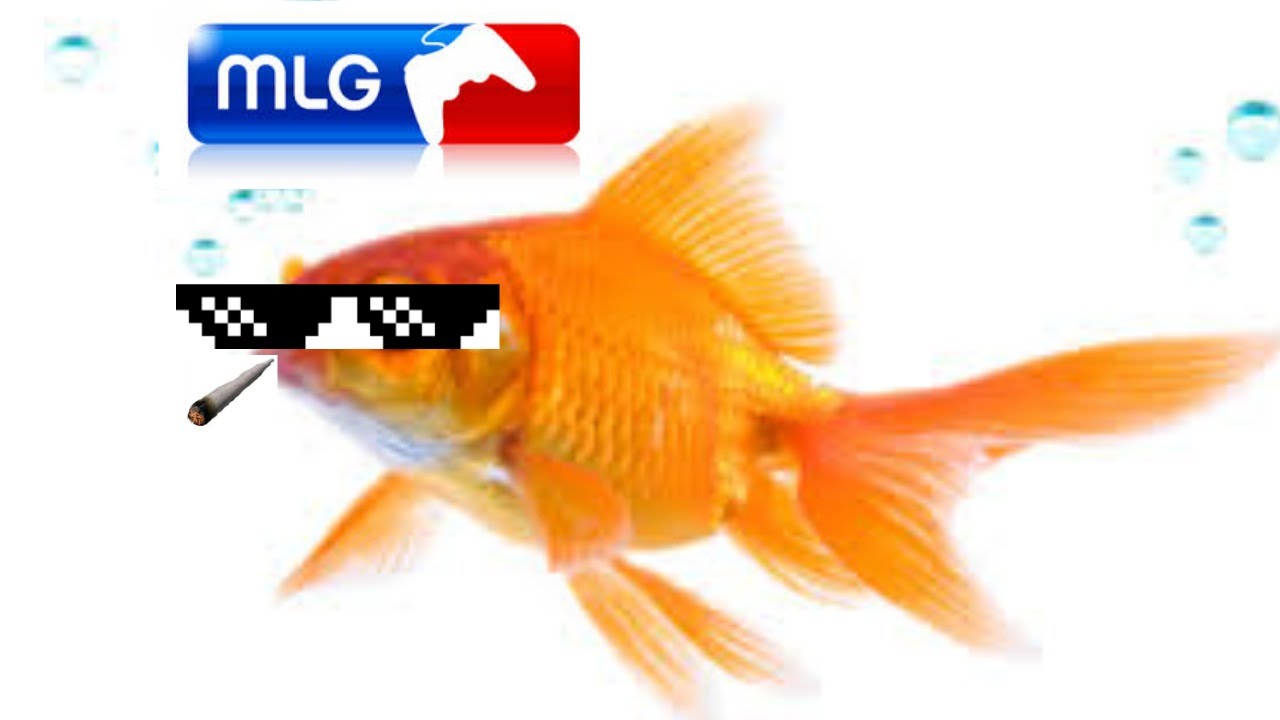 MLG FISH - YouTube