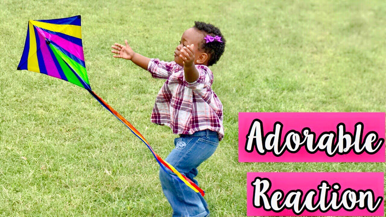 TODDLERS FIRST TIME SEEING A KITE! ADORABLE REACTION! #familyvlog #Vlog ...