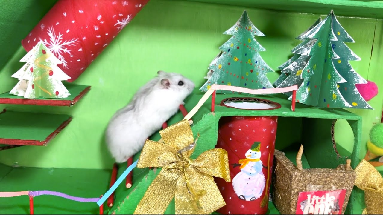 Little One Christmas Tree Maze for Funny Hamster - YouTube