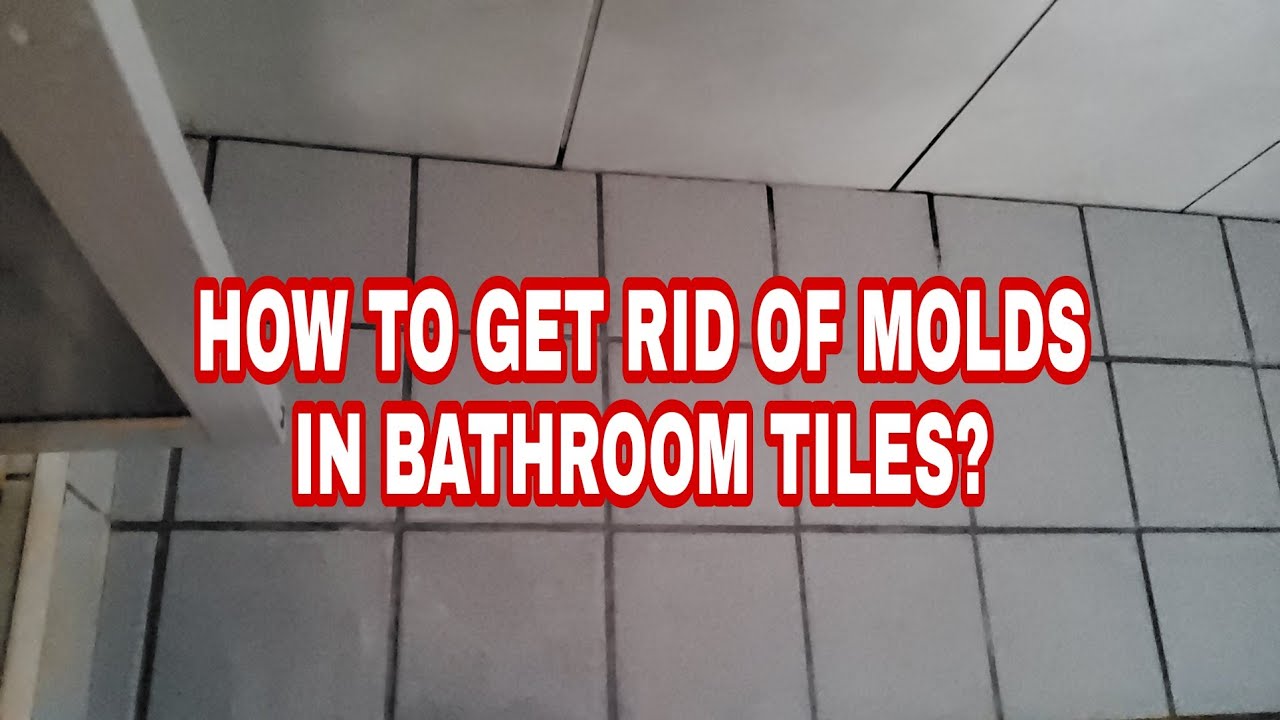 Tips How To Clean Molds On Our Bathroom Tiles Youtube