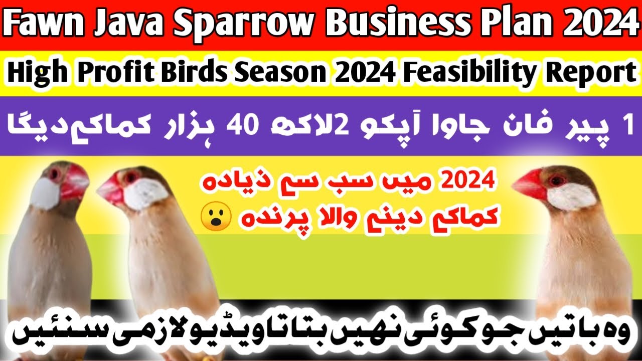 Fawn Java Business Plan 2024-Fawn Java Feasibility Report |1 Pair Fawn Java Profit 2 Lac 40 ...