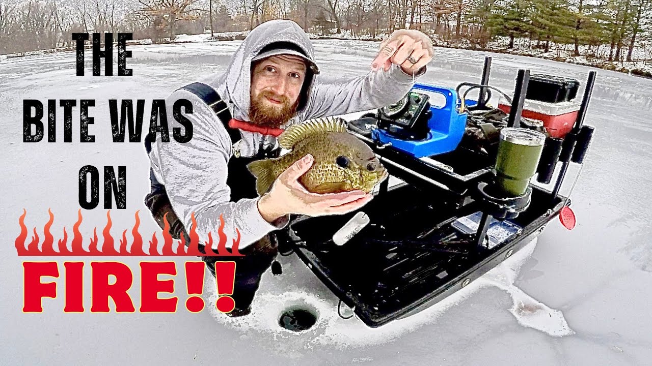 Ice fishing for HUGE BLUEGILL | Catfish Bonus!!! - YouTube
