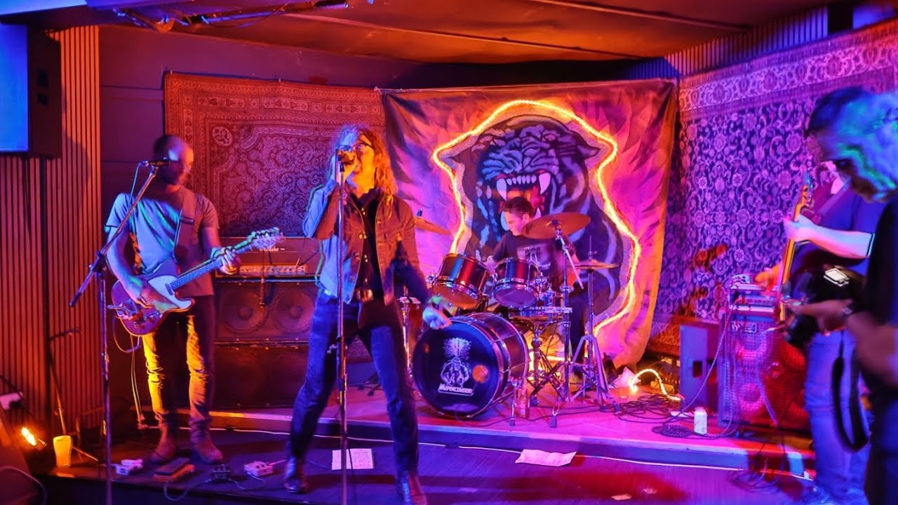The Motherlode live at The Royal Oak 24/8/24 - YouTube