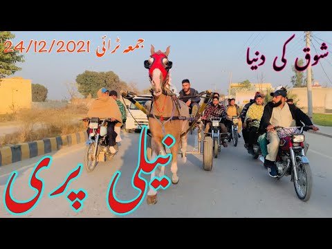 Neeli Pari Horse First Try This Season | Shoq Ki Dunya Horse Race & Try ...