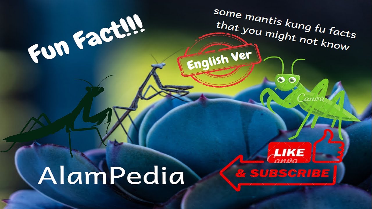 Interesting!!! facts about mantis locusts that you should know - YouTube