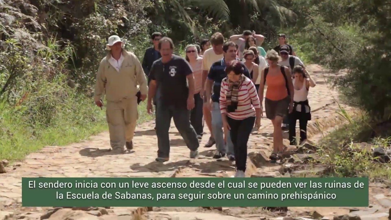 Sendero Camino de la Cuesta - Parque Arví - YouTube