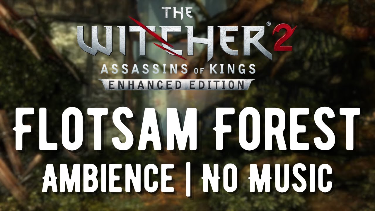 The Witcher 2 | Chill in Flotsam Forest | Ambience (No Music) - YouTube