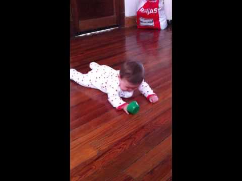 Percepcion visual: La importancia del gateo