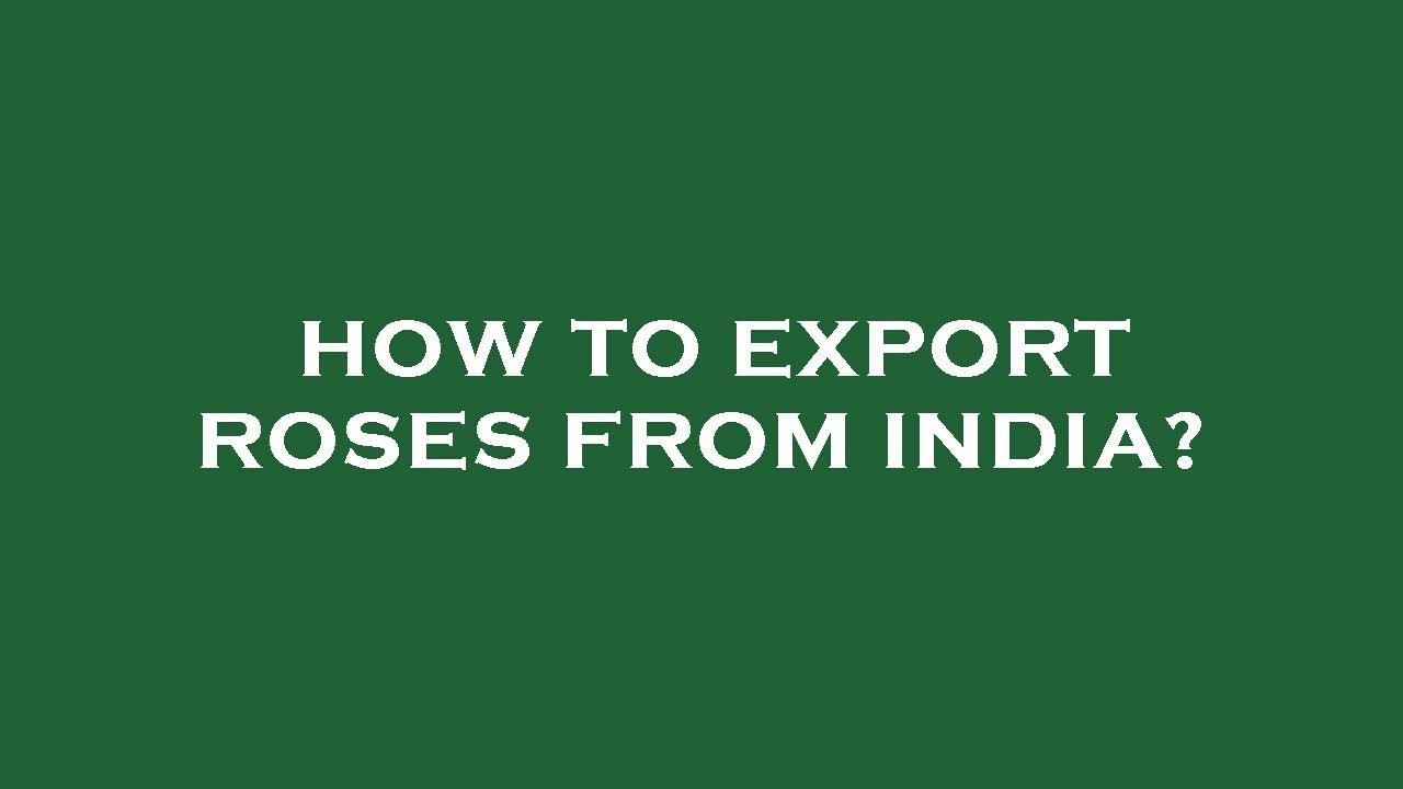 How to export roses from india? - YouTube