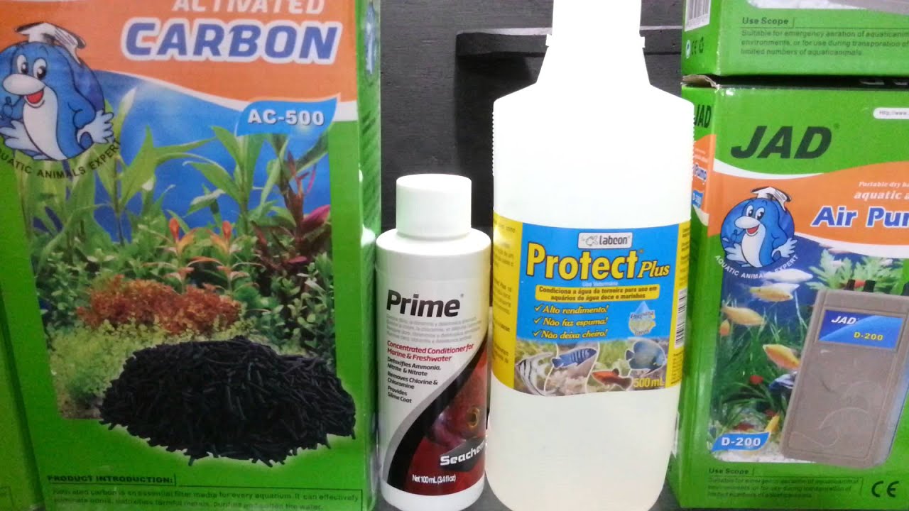 Surubim Fish apresenta - Produtos e peixes disponíveis a venda - YouTube