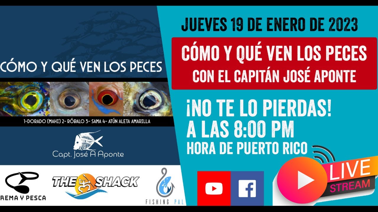 Cómo y Qué Ven los Peces - Con el Capitán José Aponte - YouTube