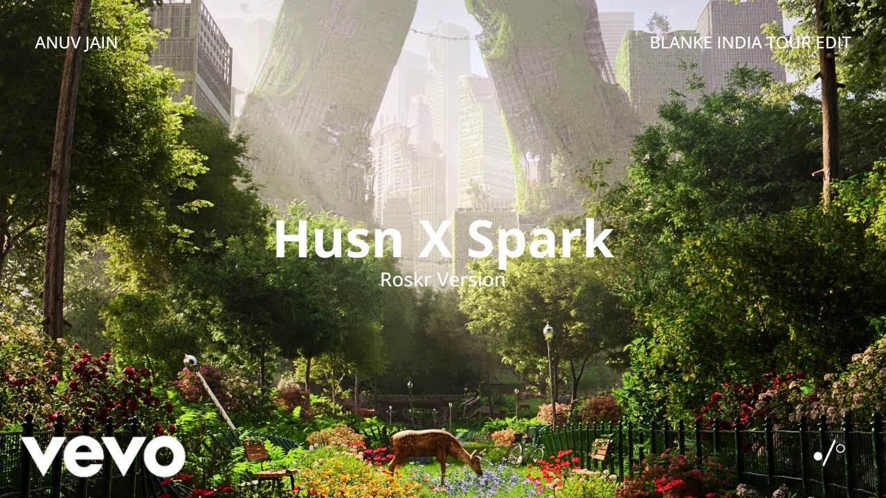 Anuv Jain - Husn X Spark (Blanke India Tour Edit) | Roskr Version - YouTube