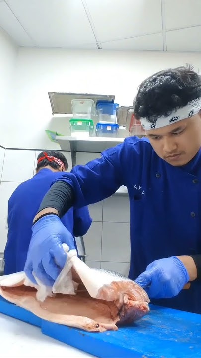 BISHAL SAUD- SUSHI CHEF (video2) - YouTube