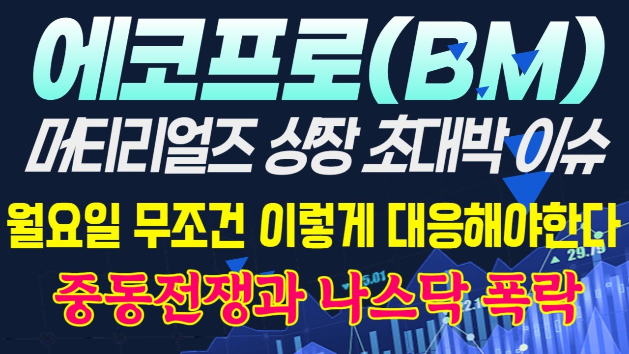 에코프로 에코프로비엠 머티리얼즈 상장 초대박 이슈 이때부터 무조건 주가 상승 할 수밖에 없는 이슈 양극재과 전구체 공급