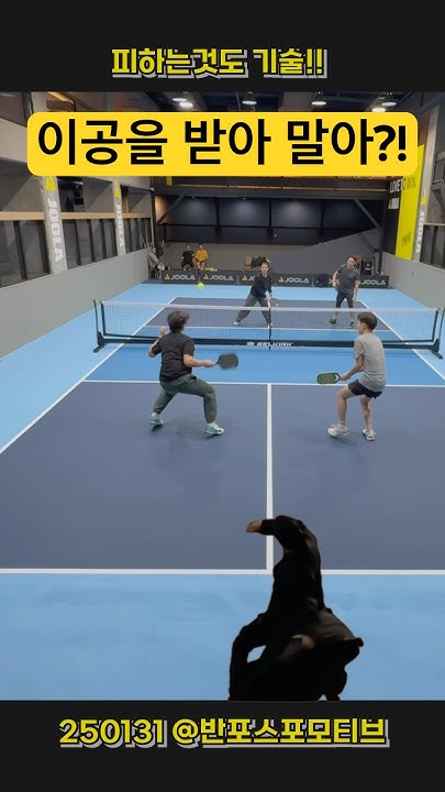 Dodge the Ball!! #피클볼 #pickleball 무조건 받는것도 능사는 아니다!! - YouTube