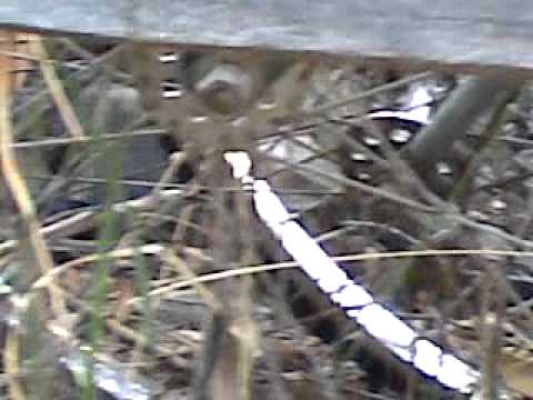 Snake Tracking, Barefoot... - YouTube