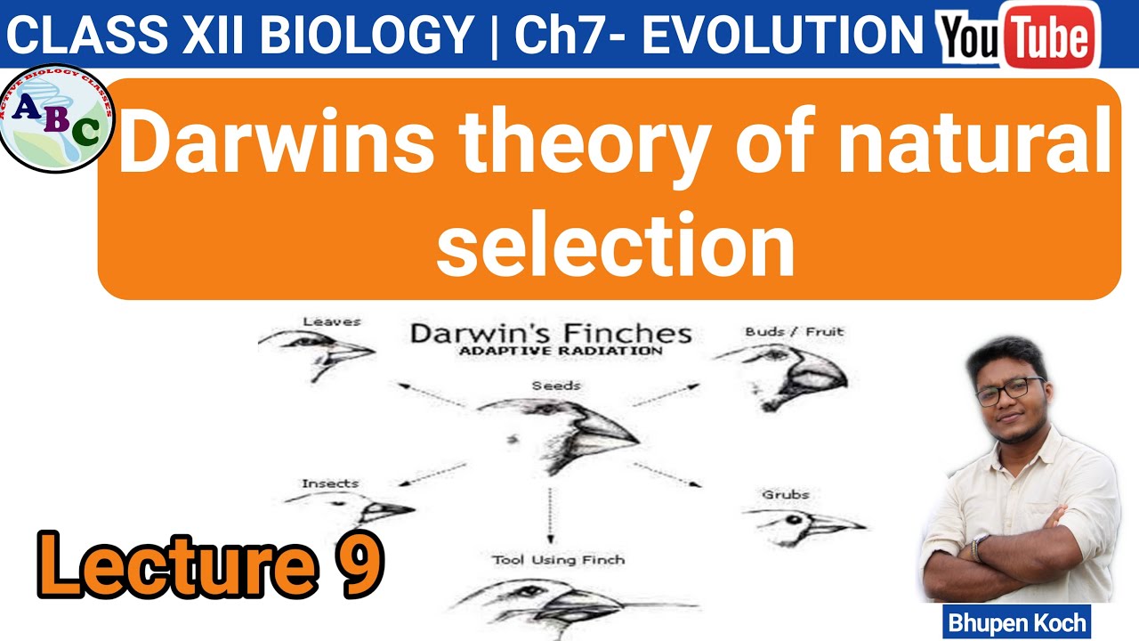 Darwins theory of natural selection ll Evolution - YouTube