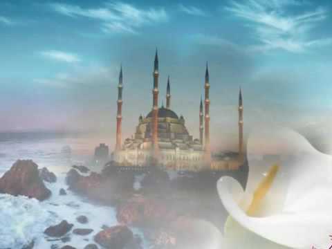 Abdurrahman Toprak Tevhid www nuru muhammediyye tr gg wmv