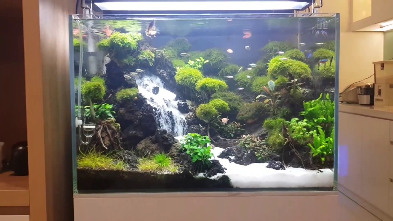 My waterfall in the most beautiful aquarium 200l - Wasserfall im ...