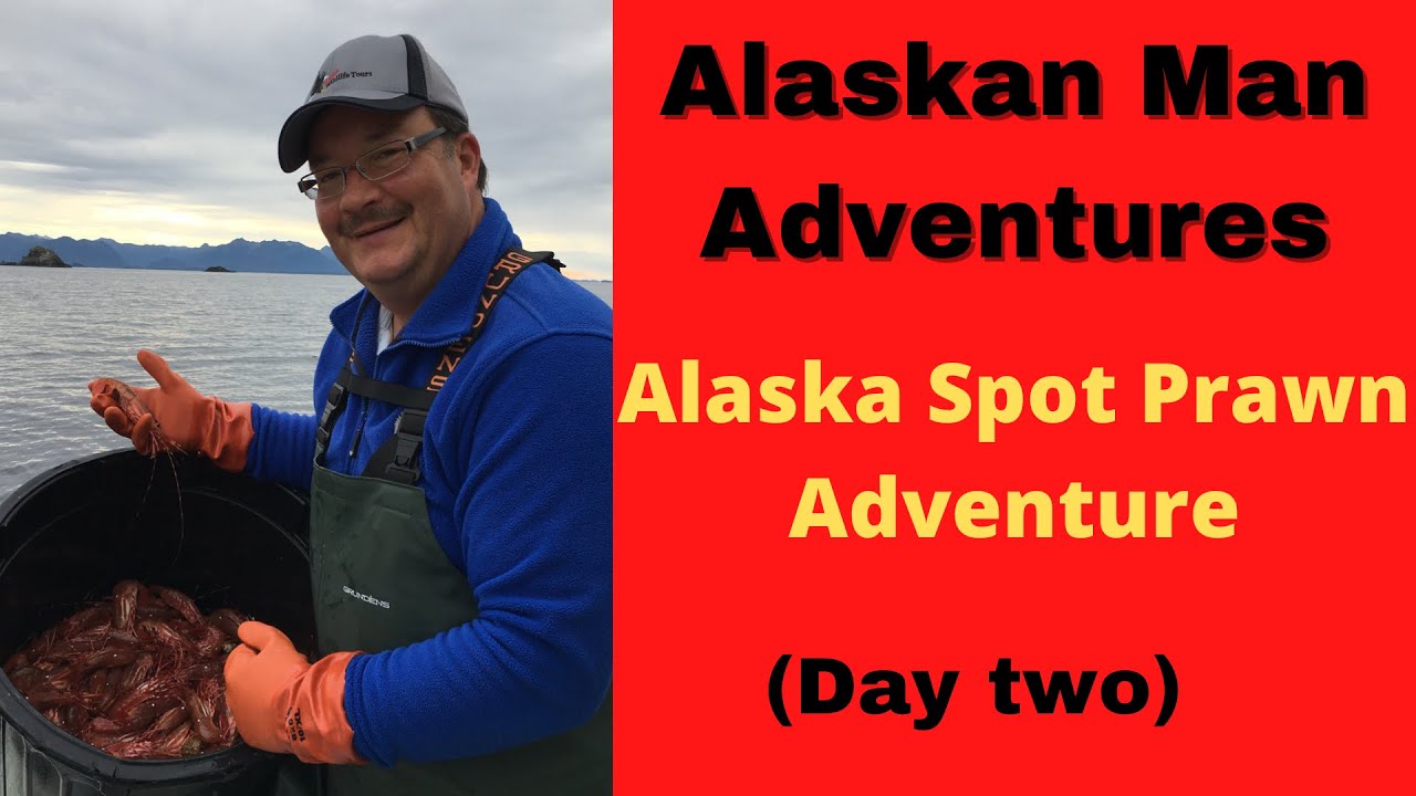 “Day two” of our overnight Alaska Spot Prawn adventure! Alaskan Gold! 8 ...