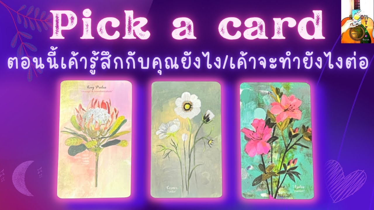 Pick a card ความรัก 💓 ตอนนี้เค้ารู้สึกกับคุณยังไง/เค้าจะทำยังไงต่อ 🧐🔮 ...