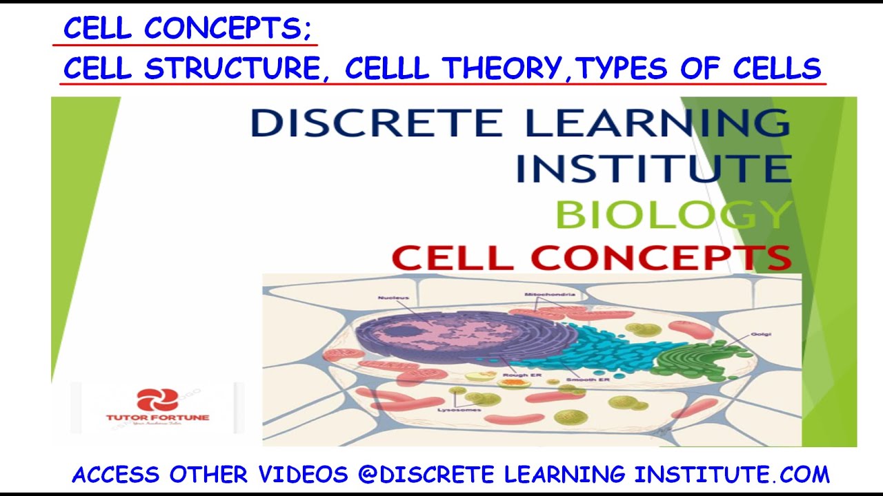 CELL CONCEPTS 1; CELL STRUCTURE, CELL THEORY AND TYPES OF CELLS - YouTube