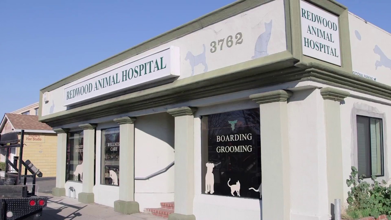 Castro Valley Pet Hospital