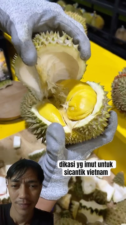 #durianenak #fruit #pecintadurian #durian #food #durianlover #duriansultan #durianbangkok - YouTube