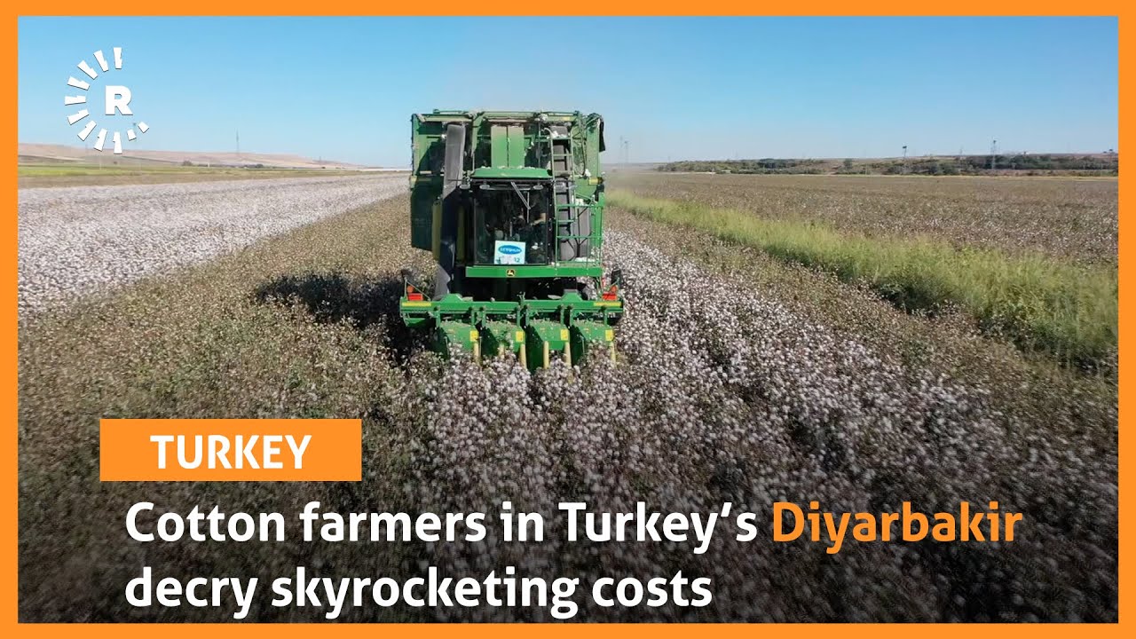Cotton farmers in Turkey’s Diyarbakir decry skyrocketing costs - YouTube