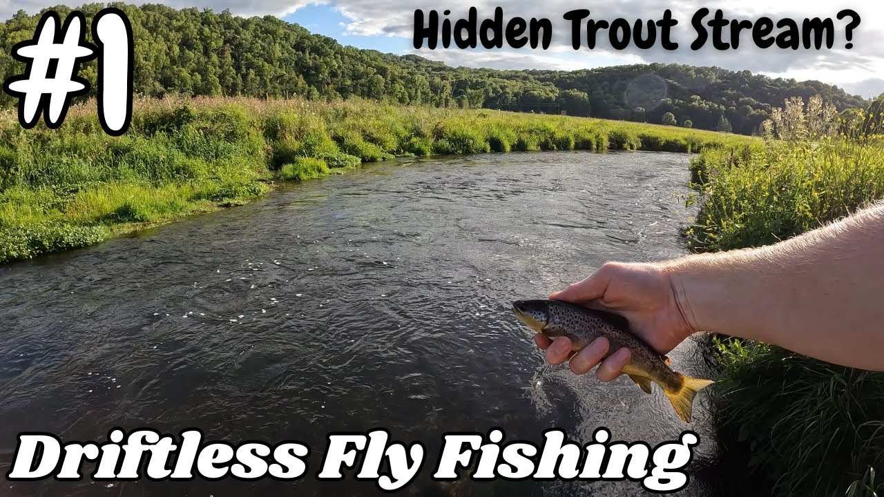 Exploring Hidden Gems: Trout Fishing in the Driftless Region - YouTube
