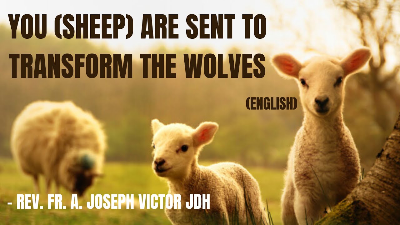 You (Sheep) are Sent to Transform the Wolves : Sermon in English by Rev ...