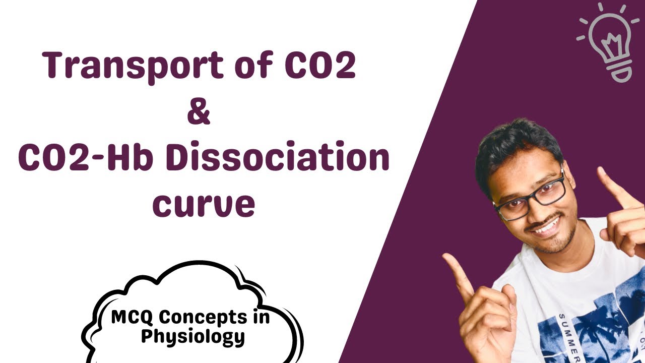 Transport of CO2 & CO2-Hb dissociation curve - MCQ concepts - YouTube