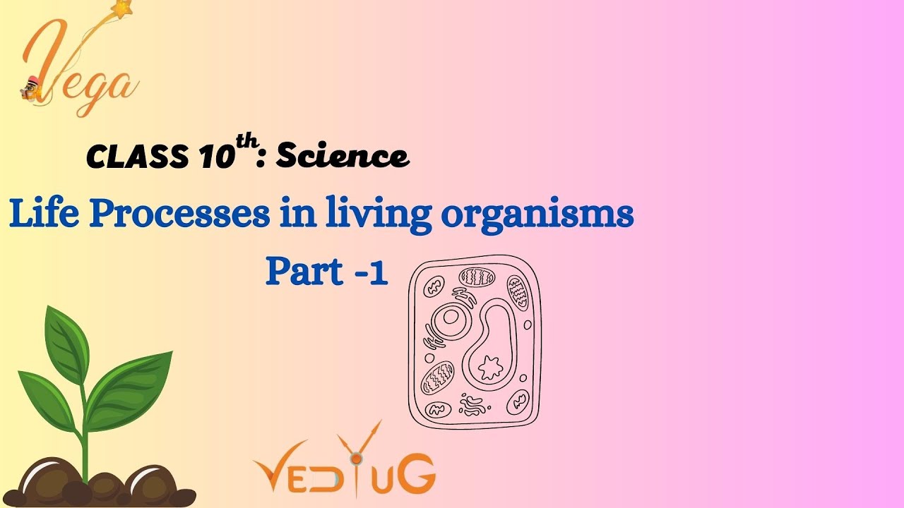 "The Essence of Life: Exploring Fundamental Life Processes in Living ...