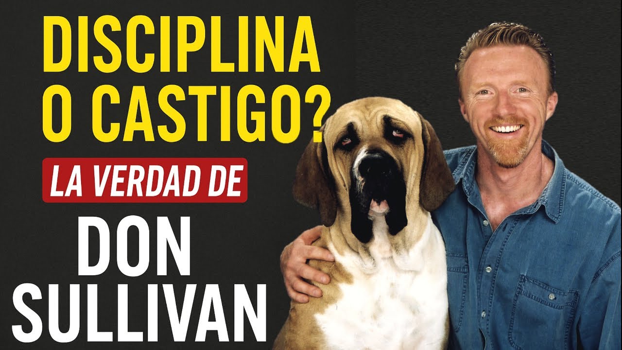 🐾 Análisis Profundo: ¿Funciona Realmente el Enfoque de Don Sullivan en ...